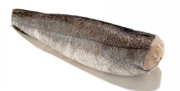 Merluzzo surgelato in varie lavorazioni - Mita bc - Agenzia di prodotti ...